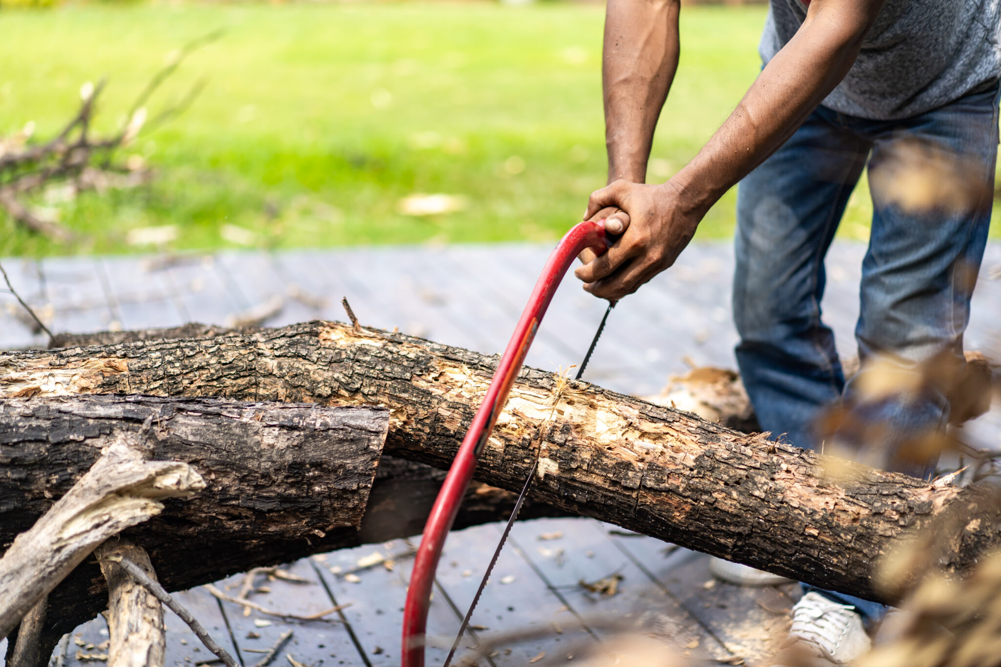 Choose The Best Survival Saws: The Ultimate Guide