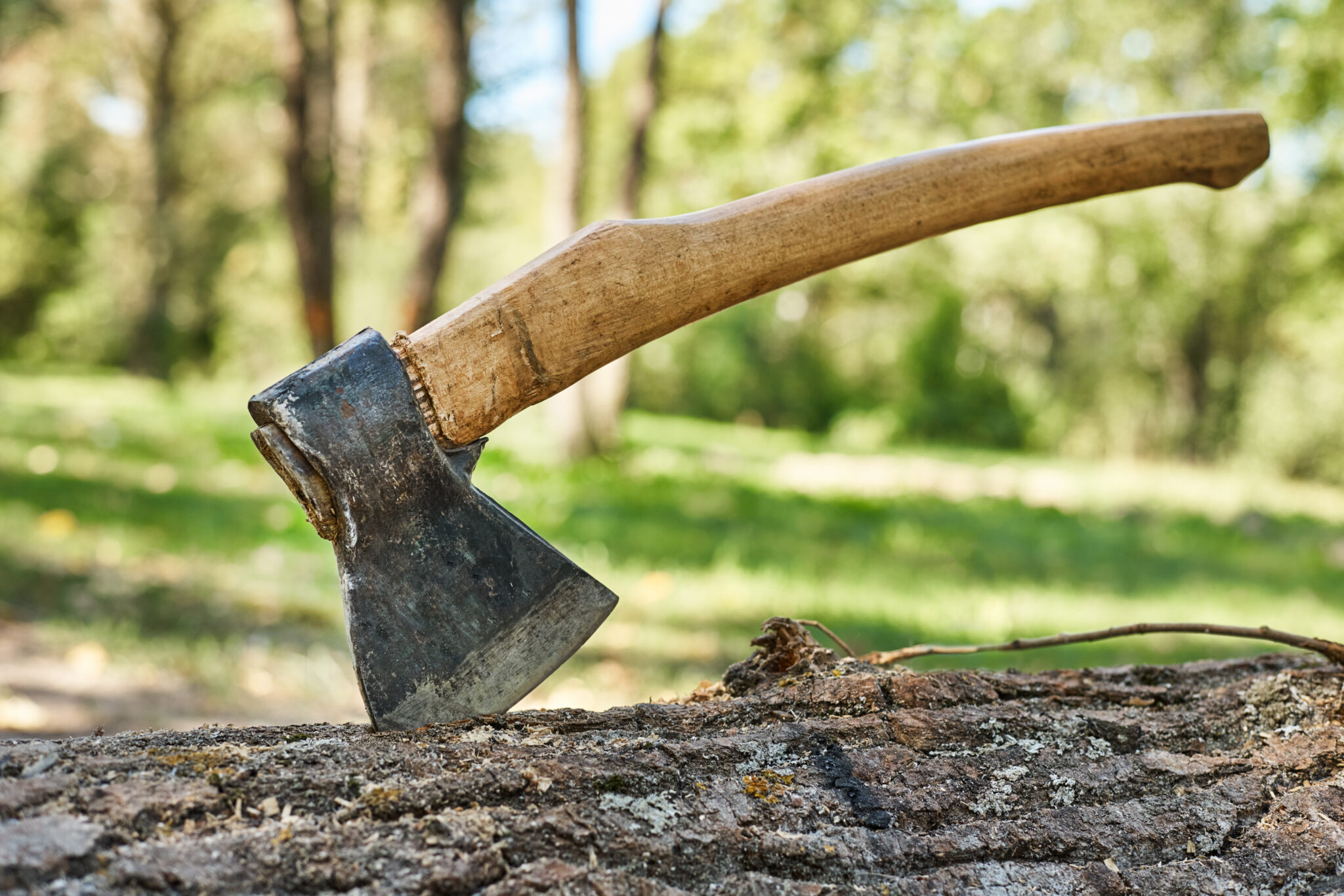 Best Survival Hatchet: My Top 5 Picks