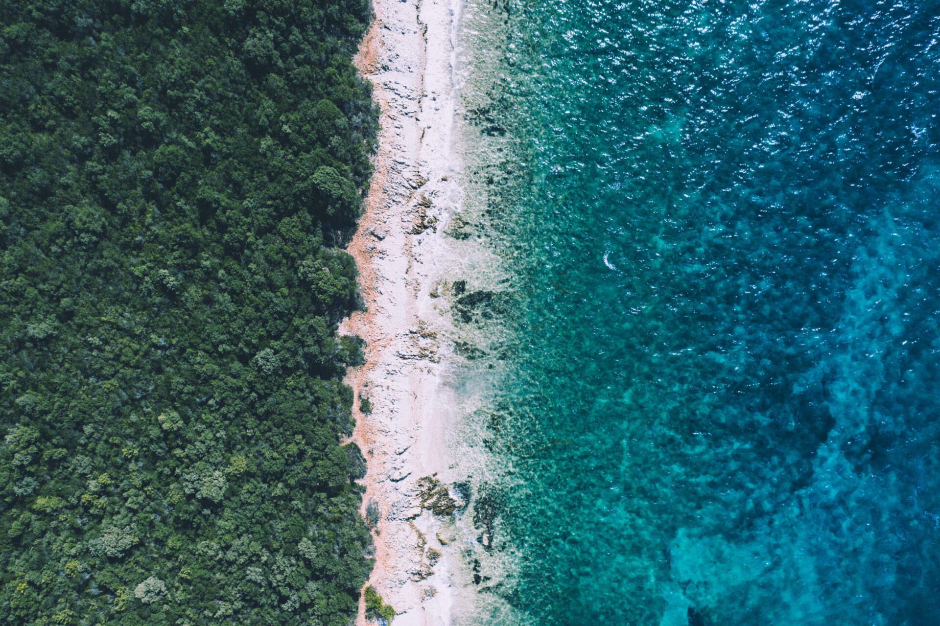 Land And Sea Survival Guide: Essential Tips To Stay Alive