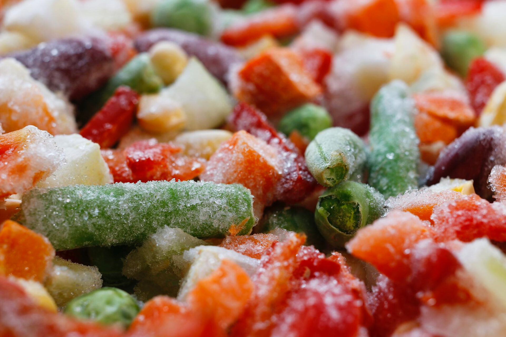 How Does Freeze Drying Work? Understanding The Process