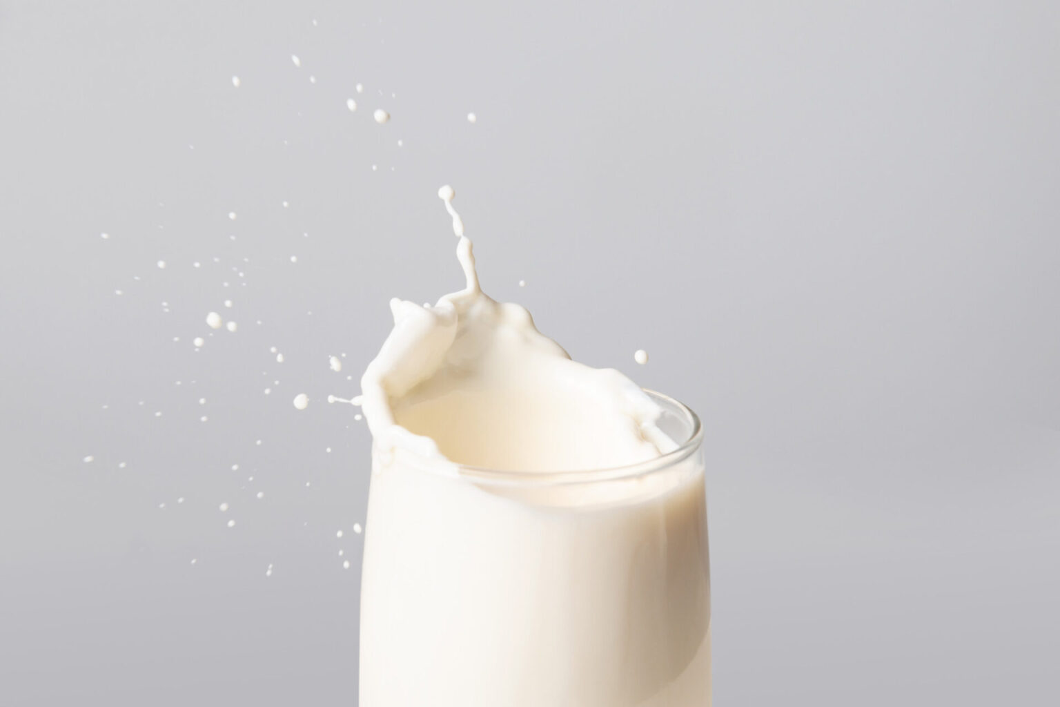 Your Complete Guide To Freeze Drying Of Milk